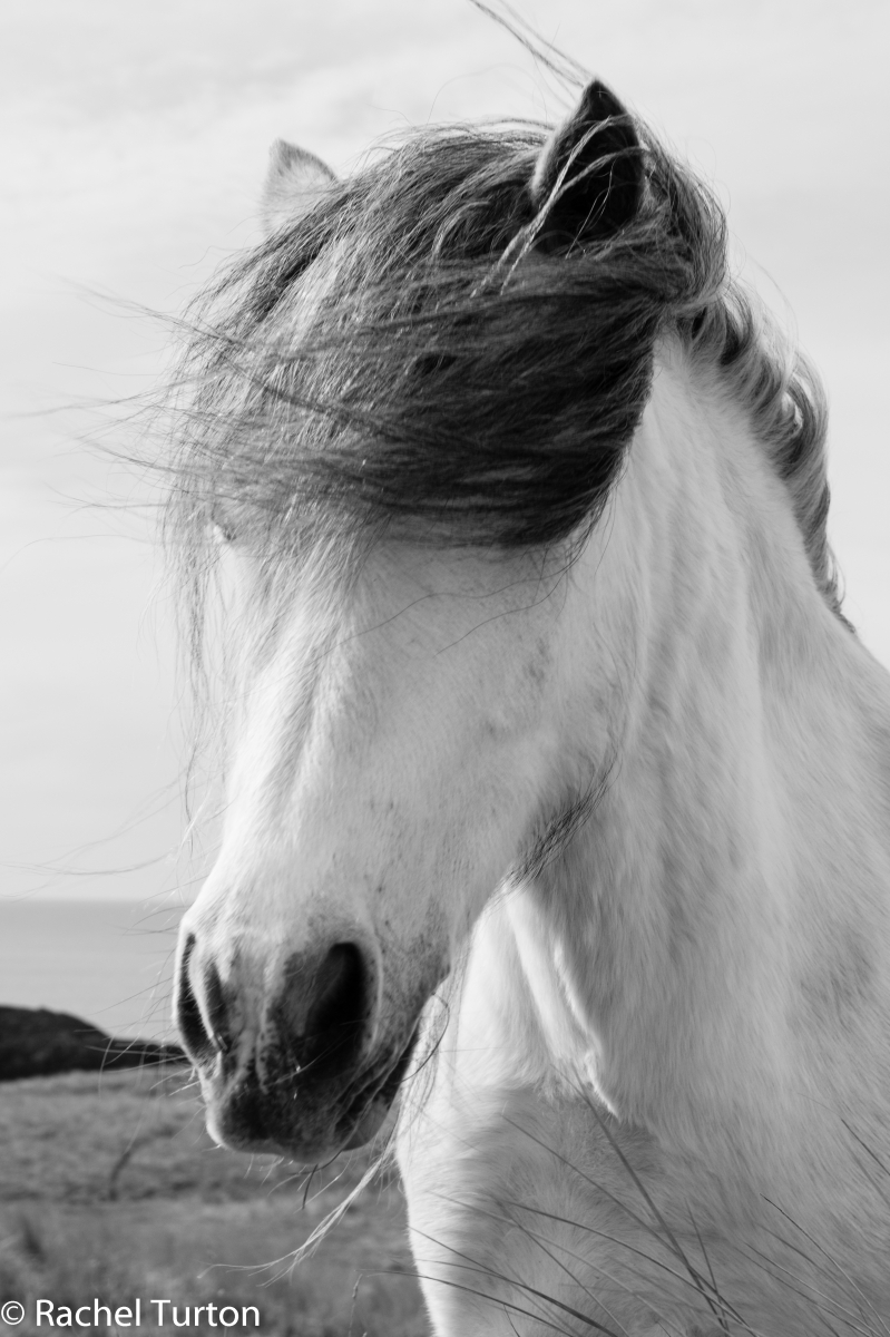 Rachel Turton Photography