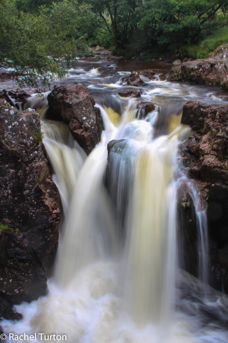 Rachel Turton Photography