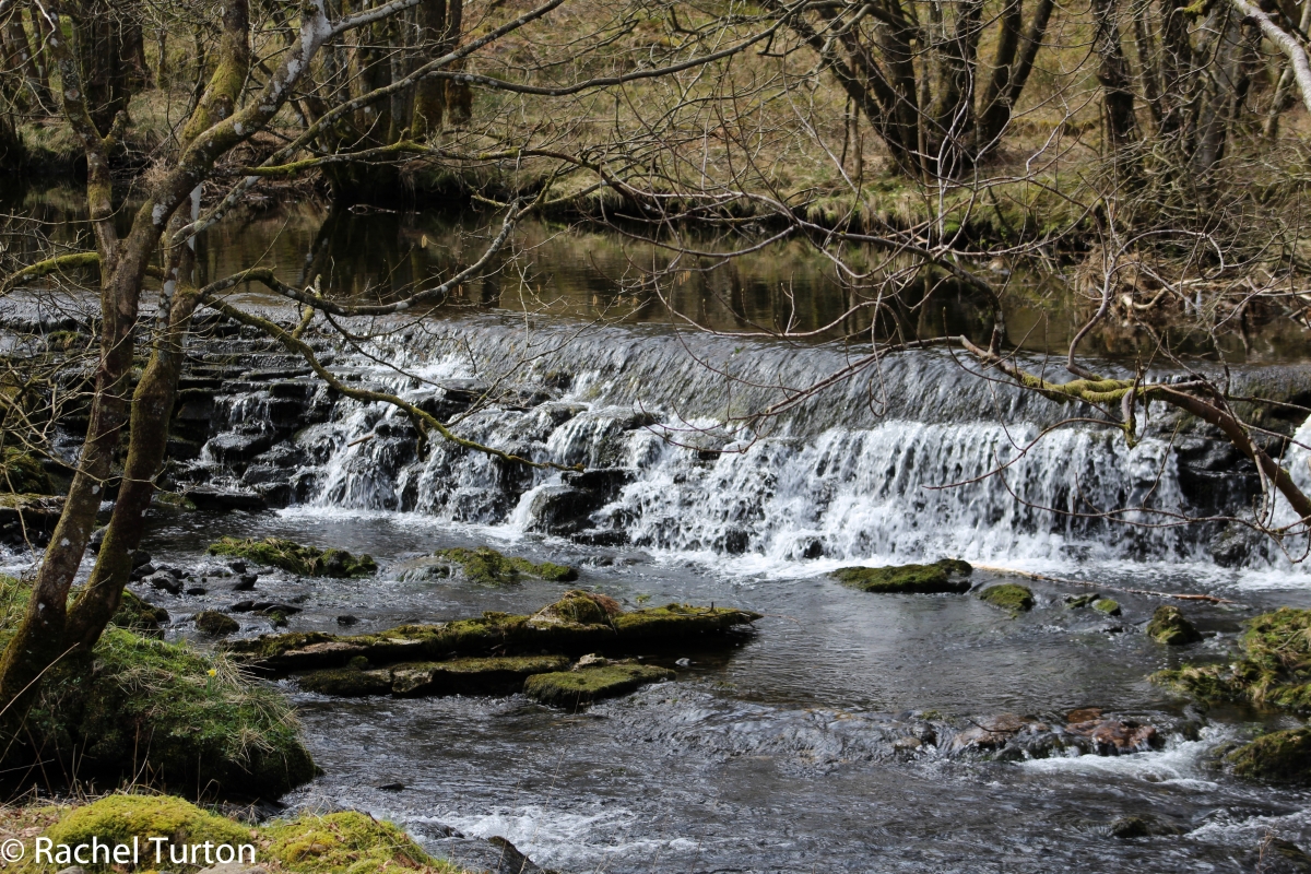 Rachel Turton Photography