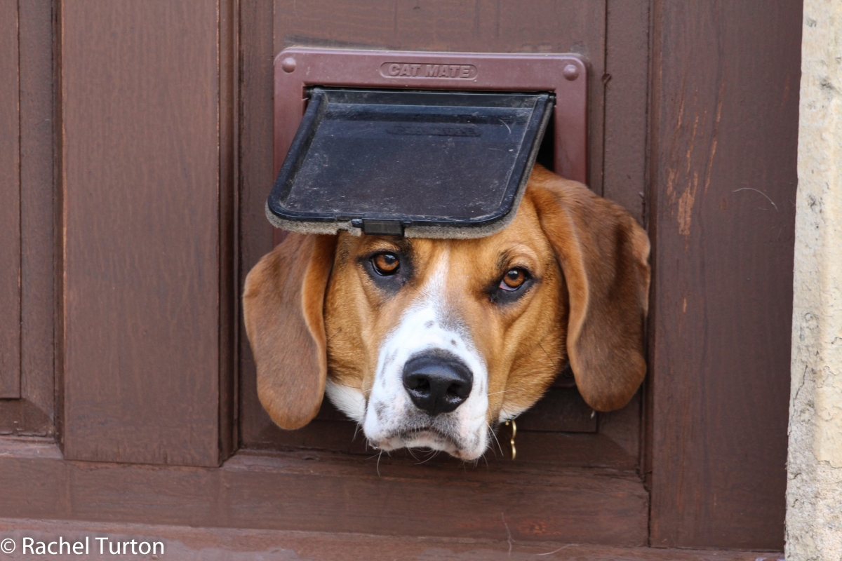 Rachel Turton Photography