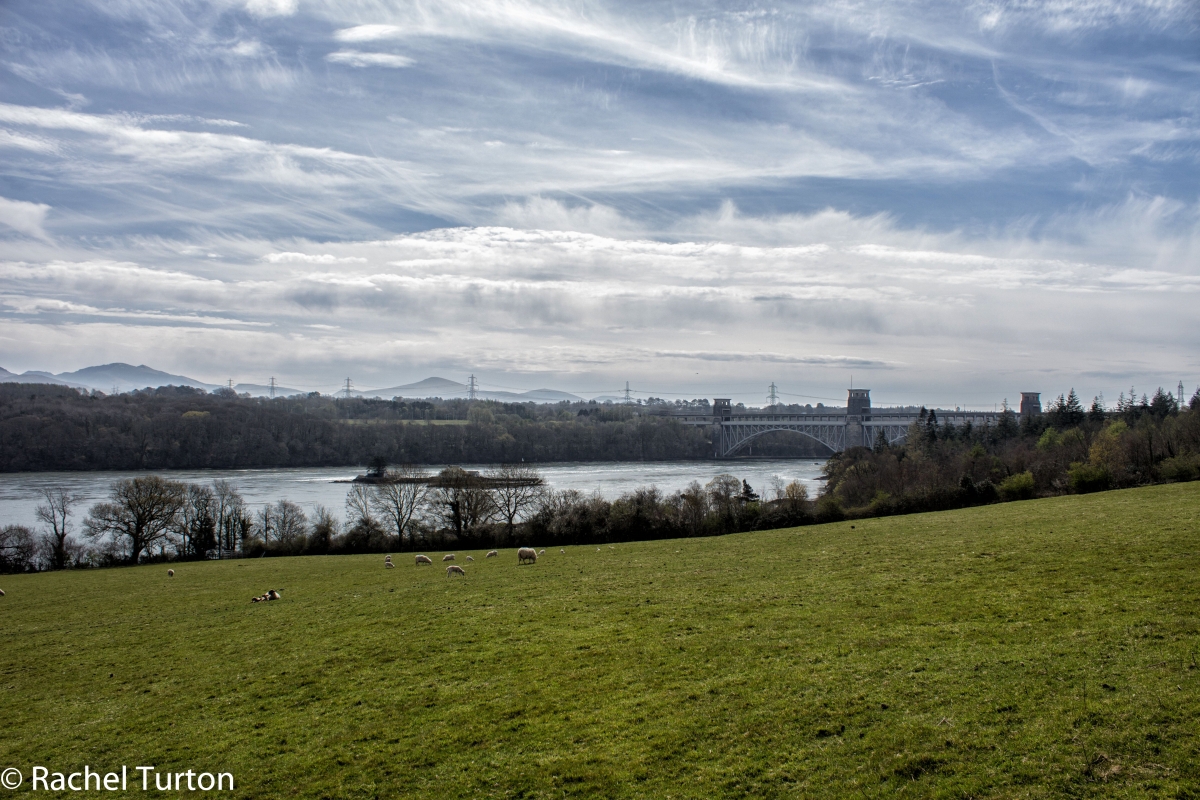 Rachel Turton Photography